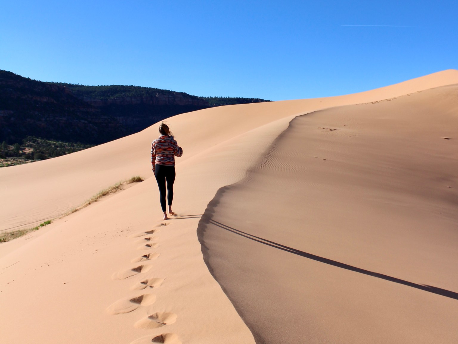 Visit Coral Pink Sand Dunes State Park - The AZ Hikeaholics