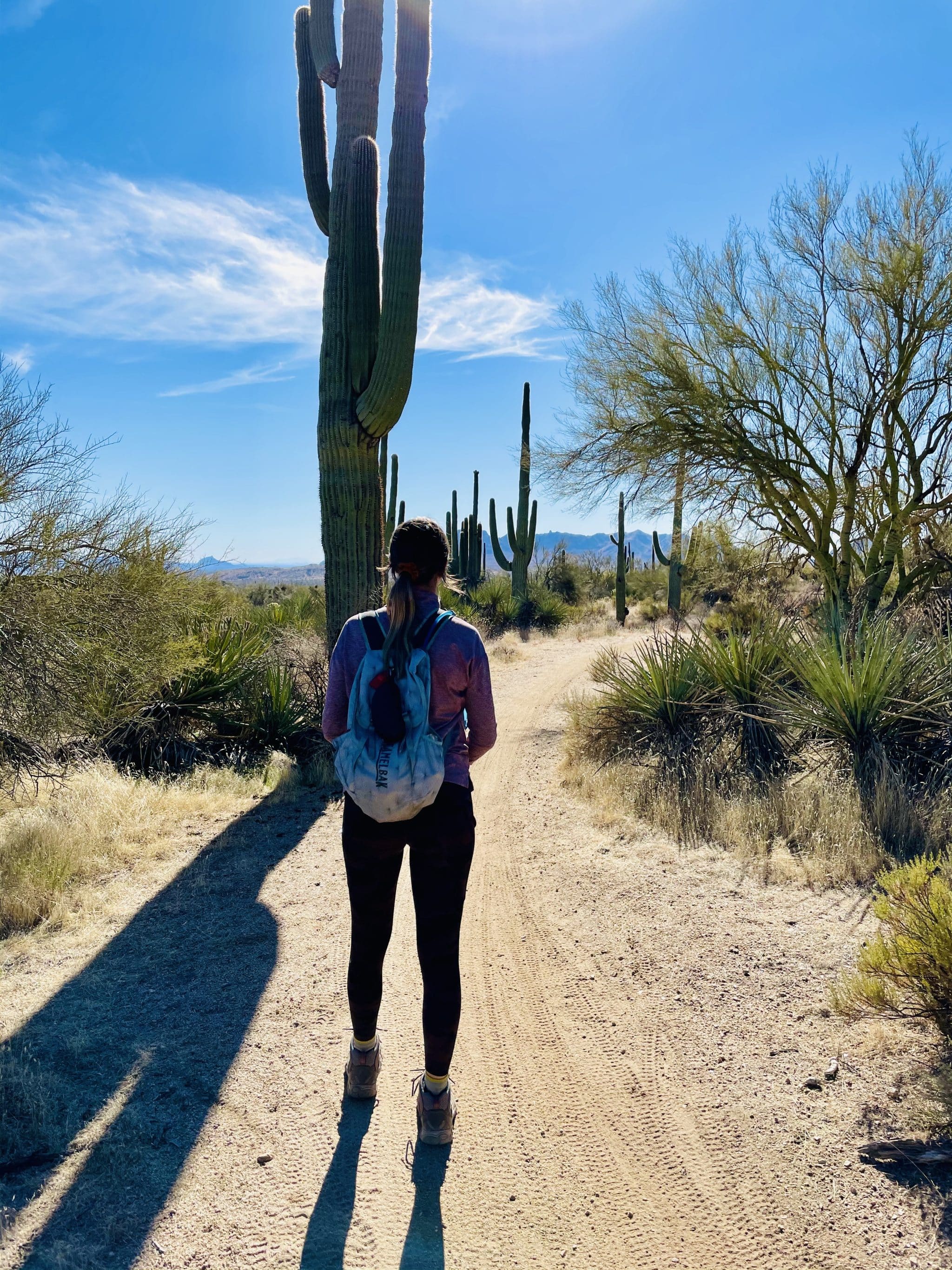 Brown’s Ranch to Balanced Rock: Scottsdale McDowell Mountains