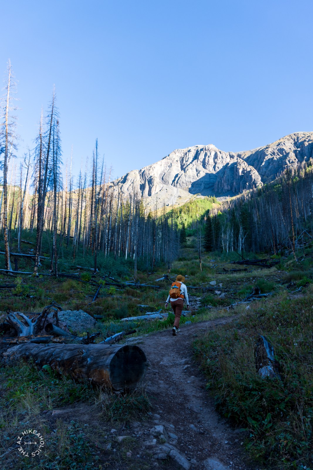 Durango, Colorado: Best Hikes, Lakes, and 4x4 Trails