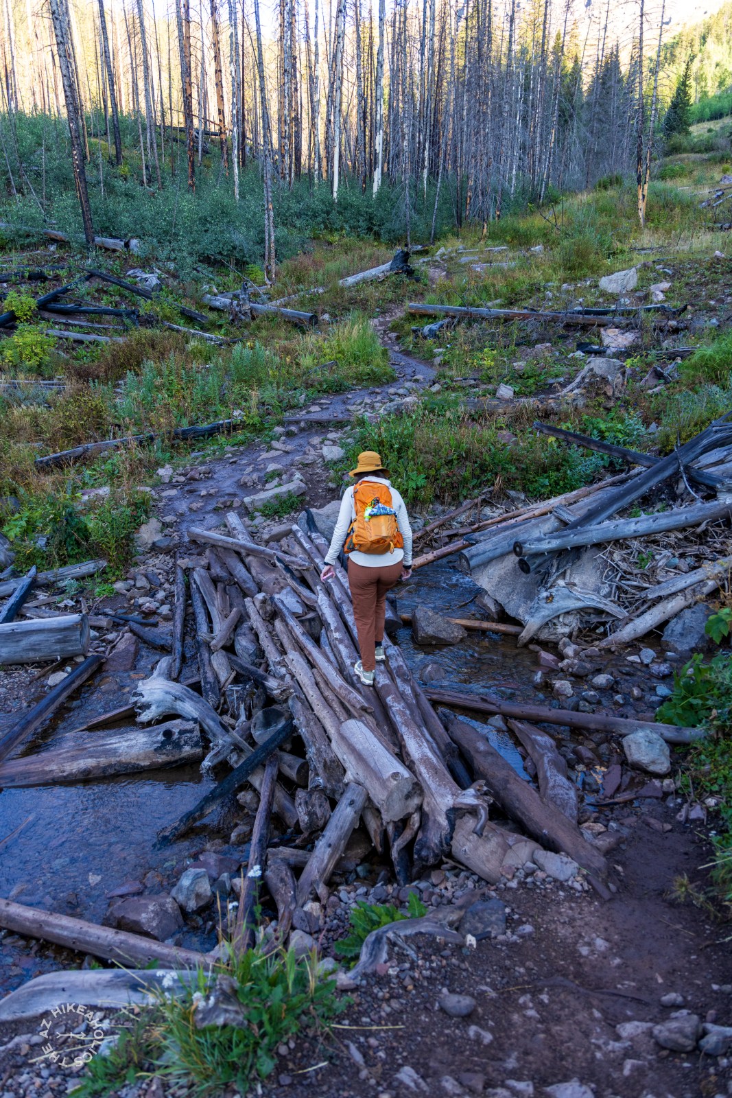 Durango, Colorado: Best Hikes, Lakes, and 4x4 Trails