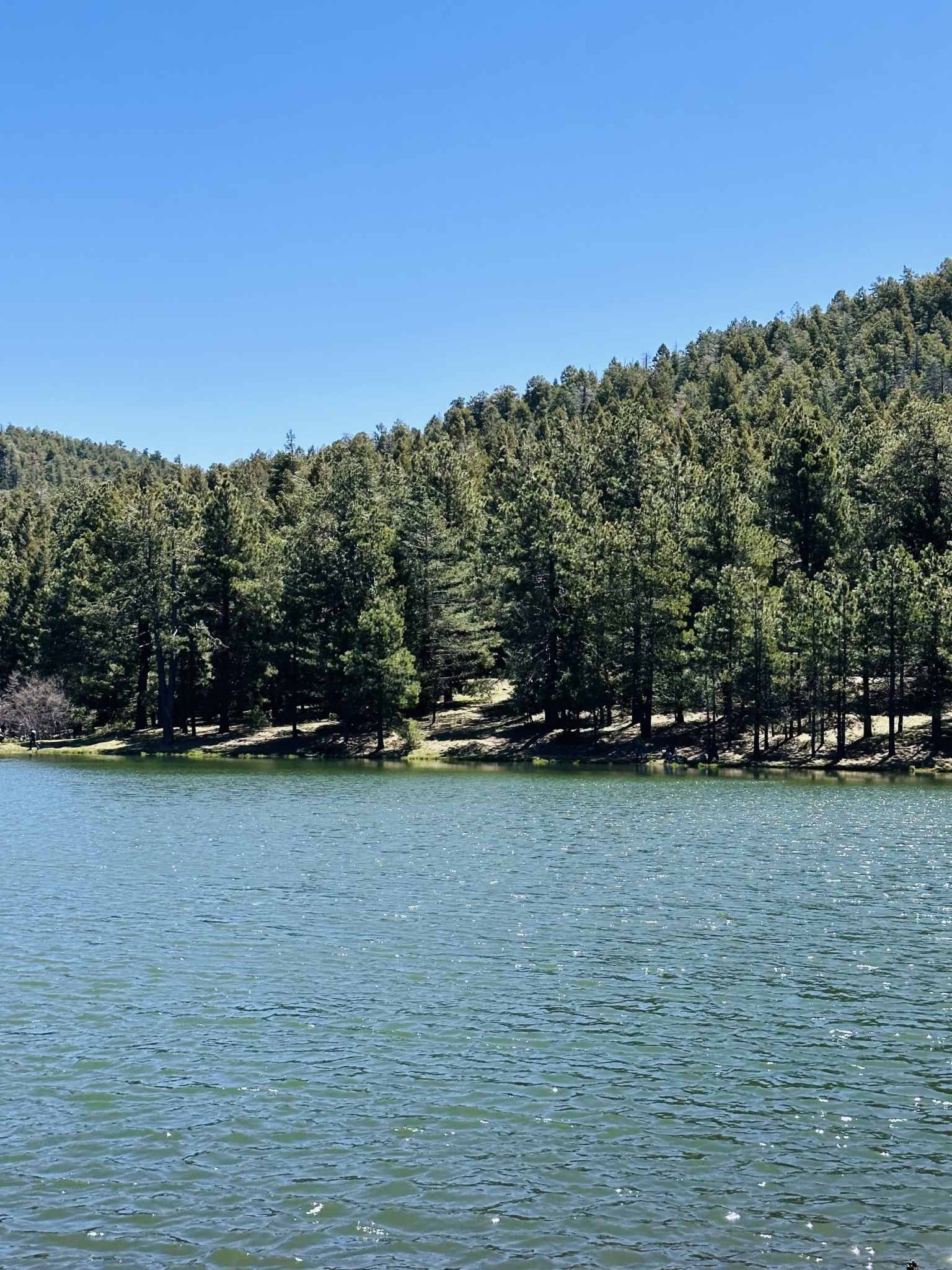 America The Beautiful Pass: Where To Use It