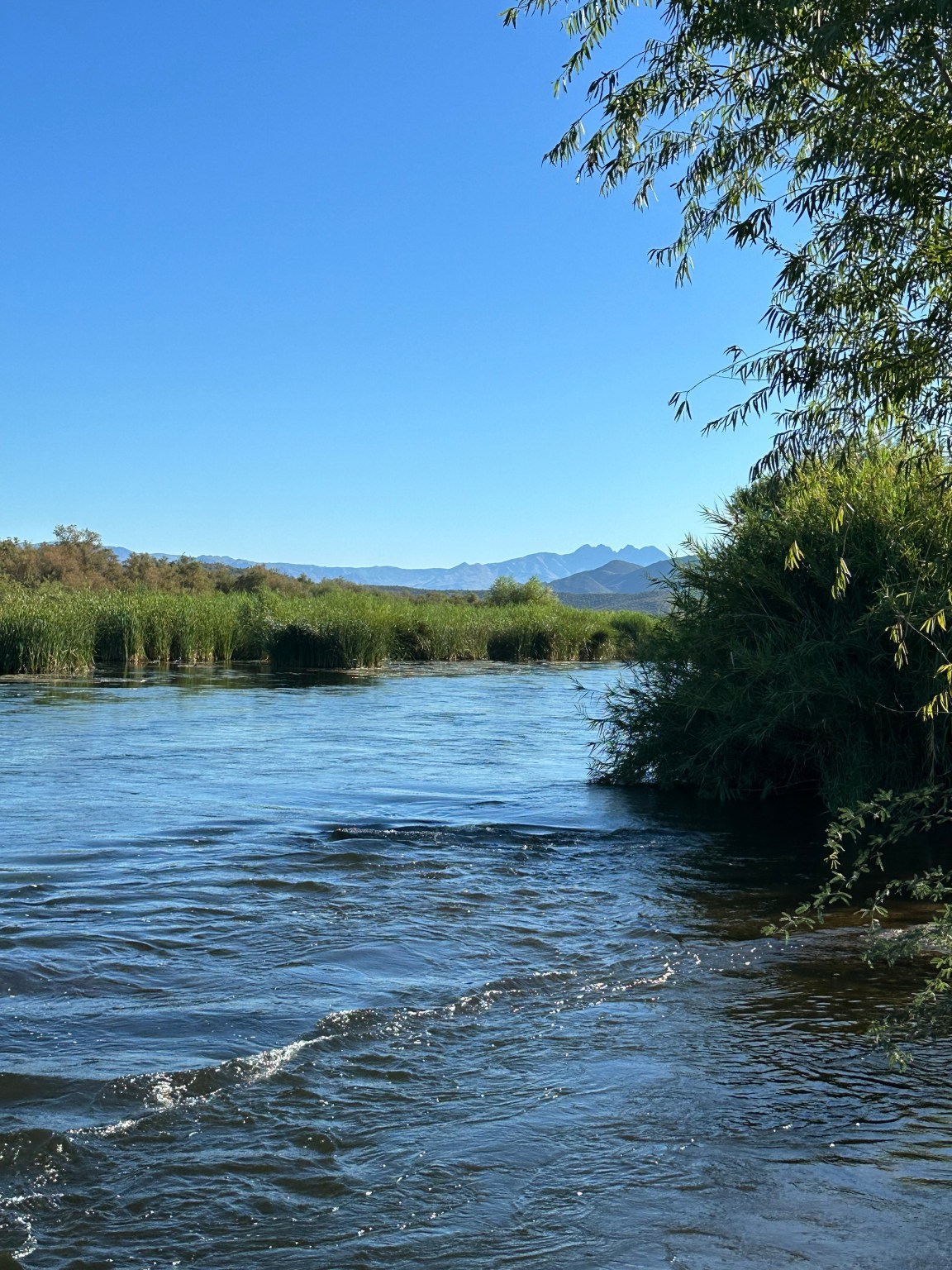 America The Beautiful Pass: Where To Use It