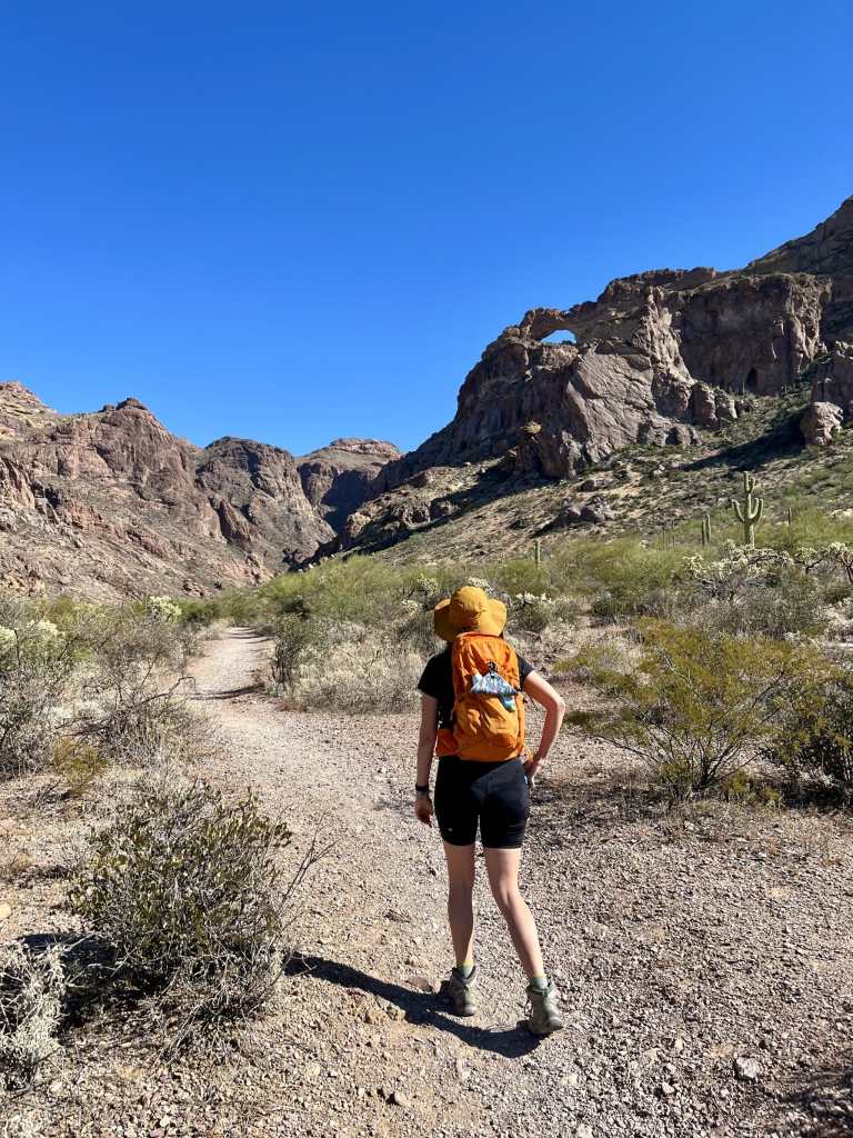 Organ Pipe Cactus & Tucson Road Trip