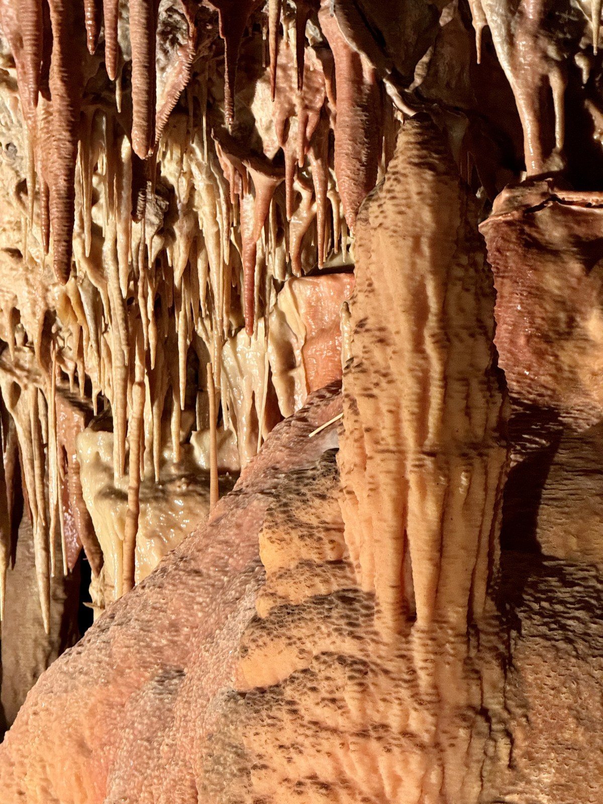 Kartchner Caverns State Park: Tours, Camping, and Tips