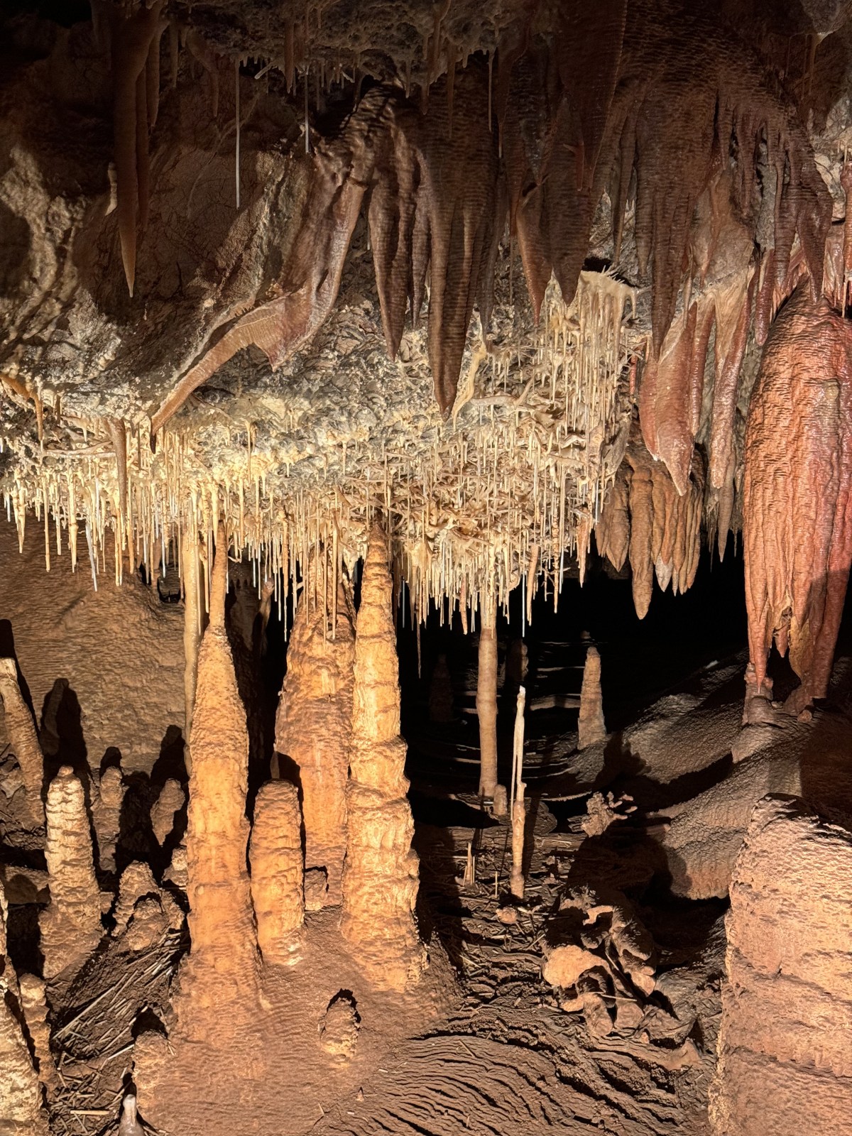 Kartchner Caverns State Park: Tours, Camping, and Tips