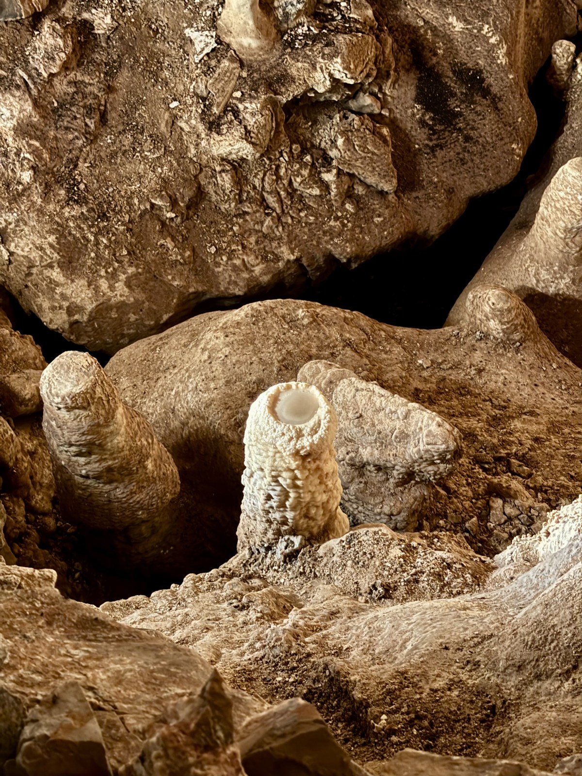 Kartchner Caverns State Park: Tours, Camping, and Tips