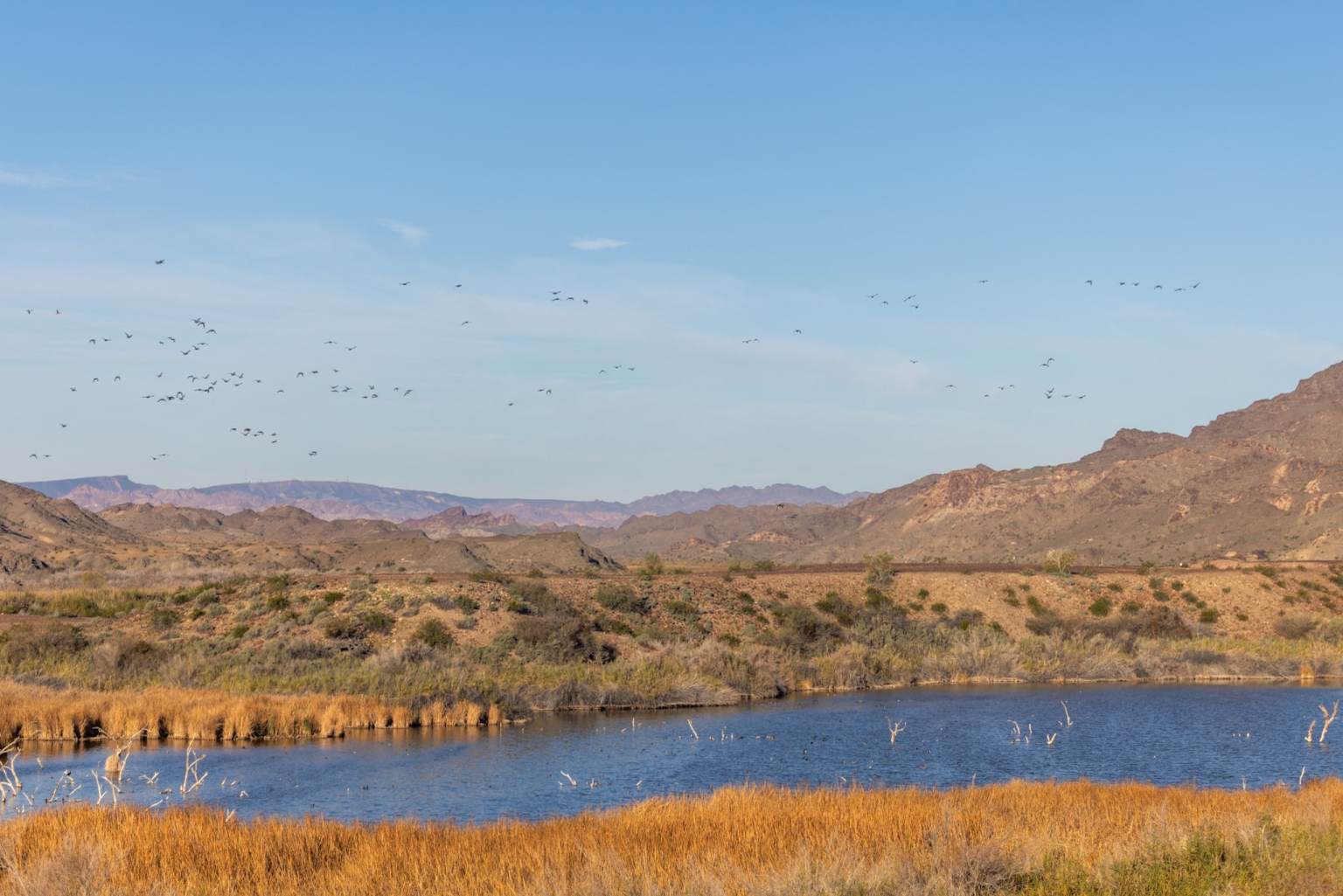 Yuma: National Wildlife Refuges