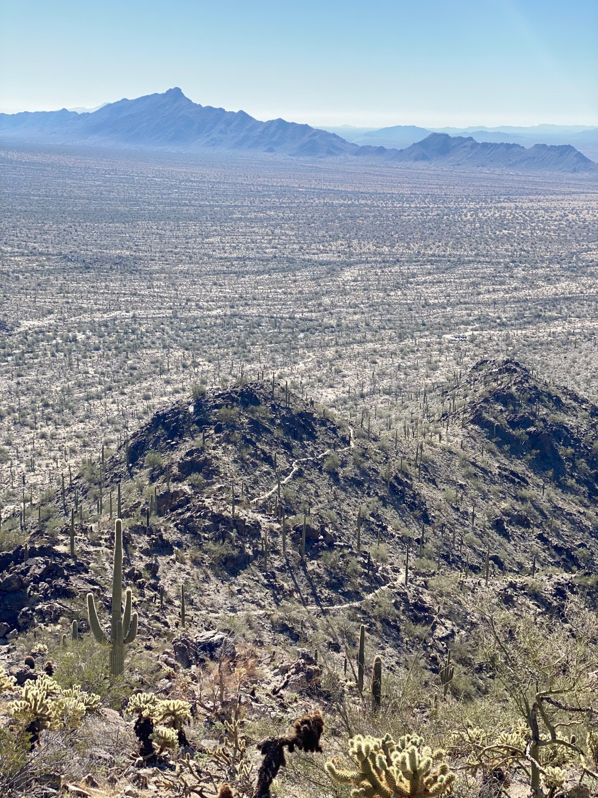 Hike Quartz Peak Trail: Sierra Estrella Wilderness