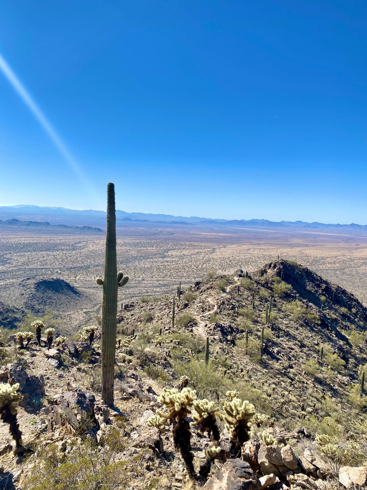 Hike Quartz Peak Trail: Sierra Estrella Wilderness