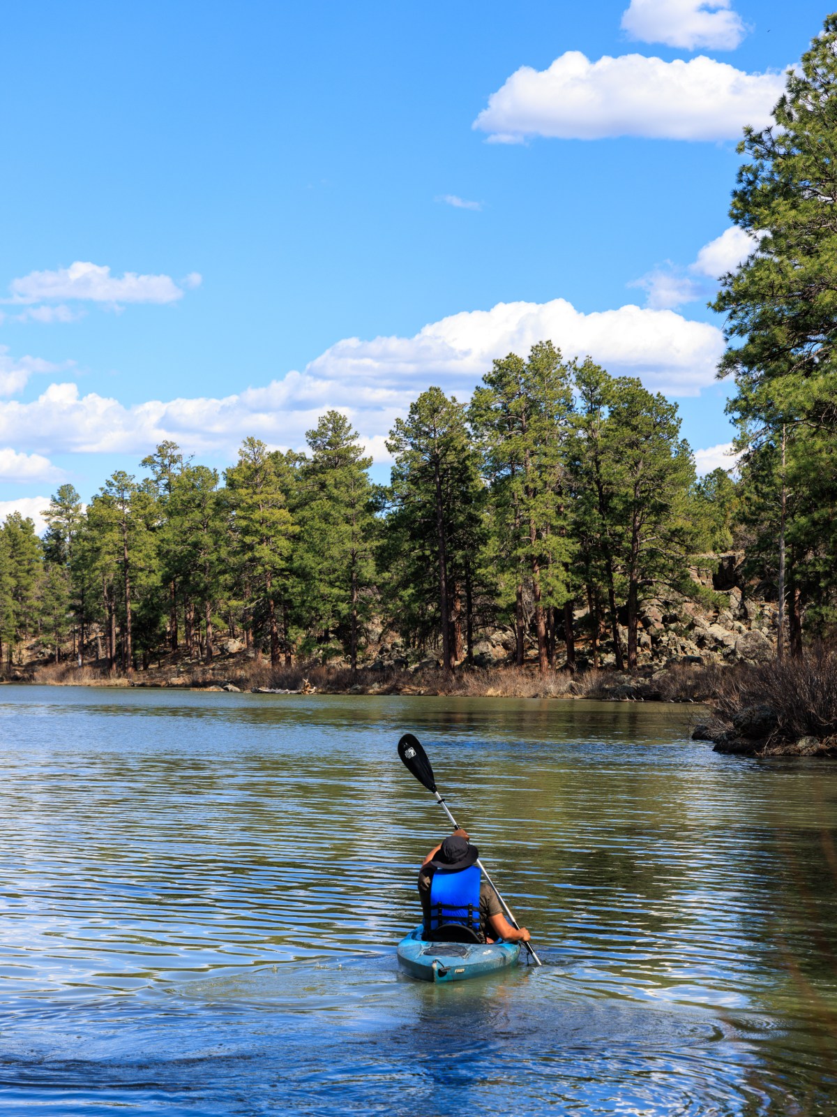 Fool Hollow Lake Camping: Show Low, Arizona