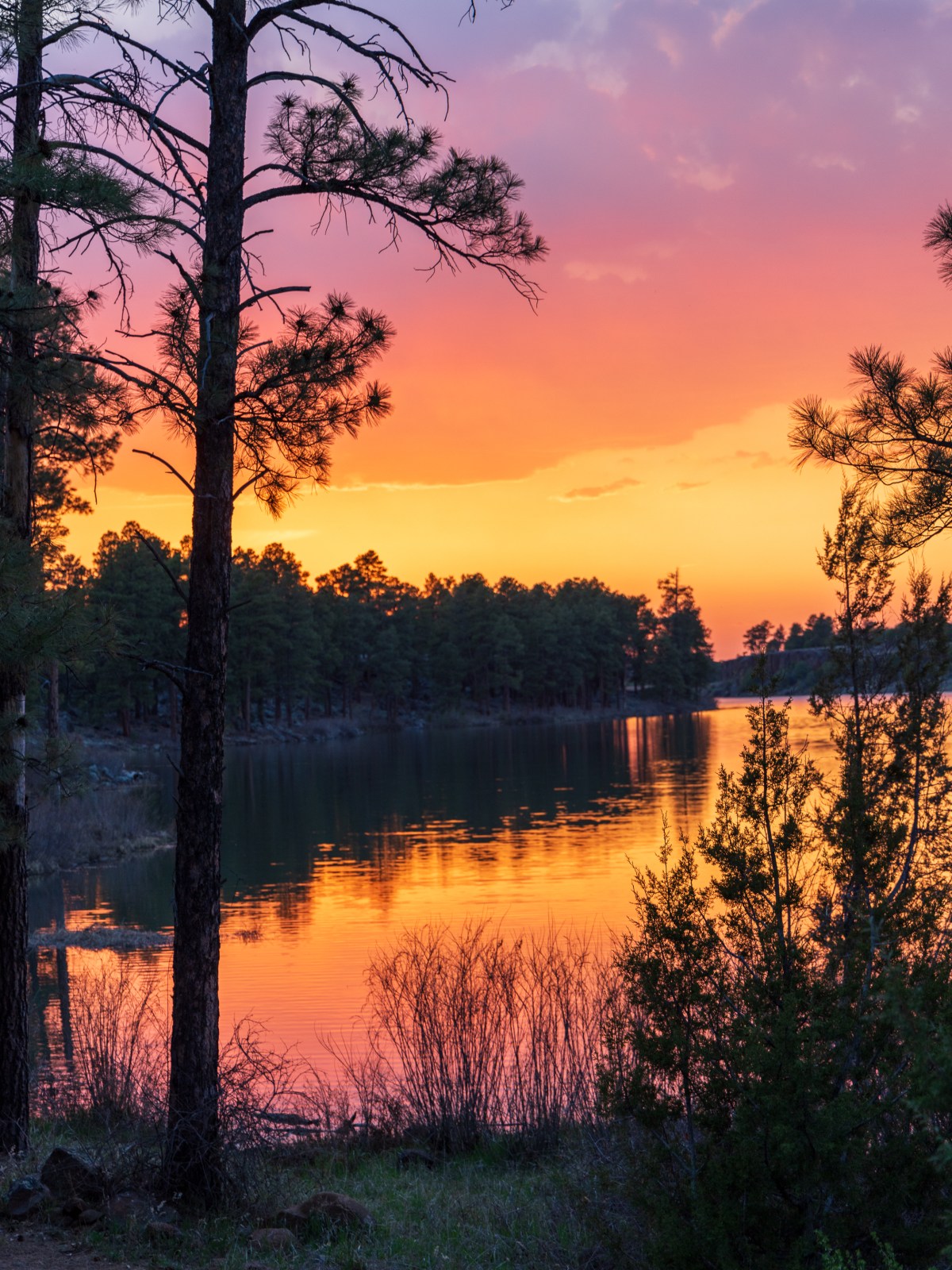 Fool Hollow Lake Camping: Show Low, Arizona