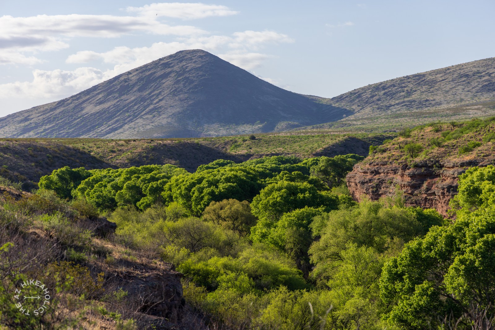 Visit Gila Box Riparian National Conservation Area
