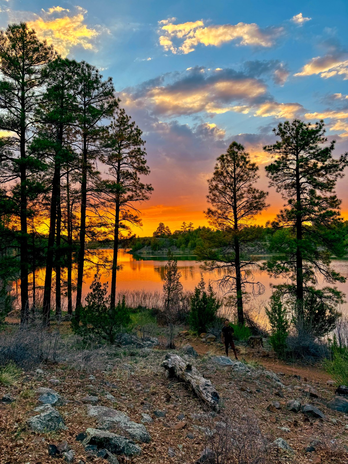 Fool Hollow Lake Camping: Show Low, Arizona
