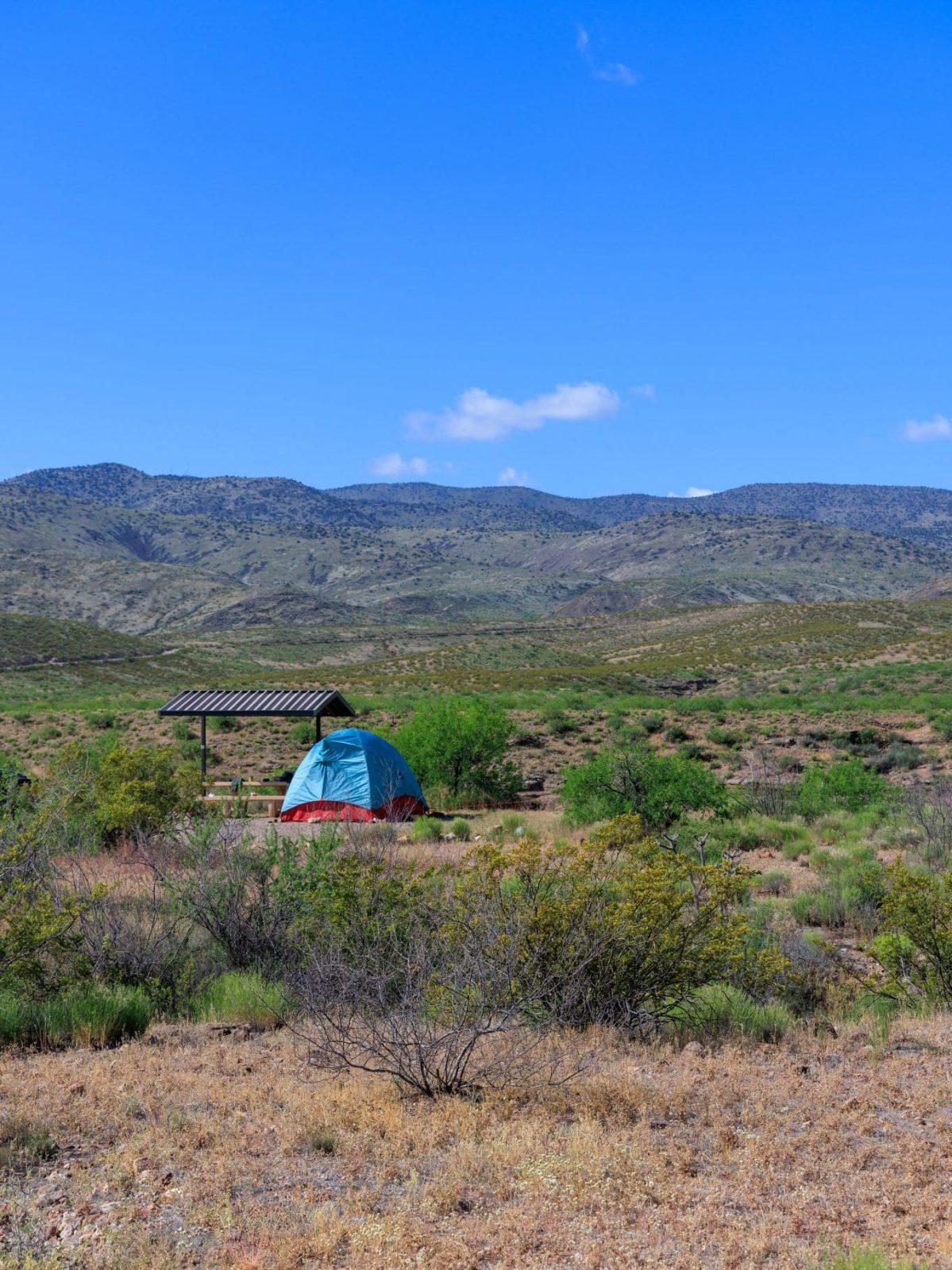 Visit Gila Box Riparian National Conservation Area