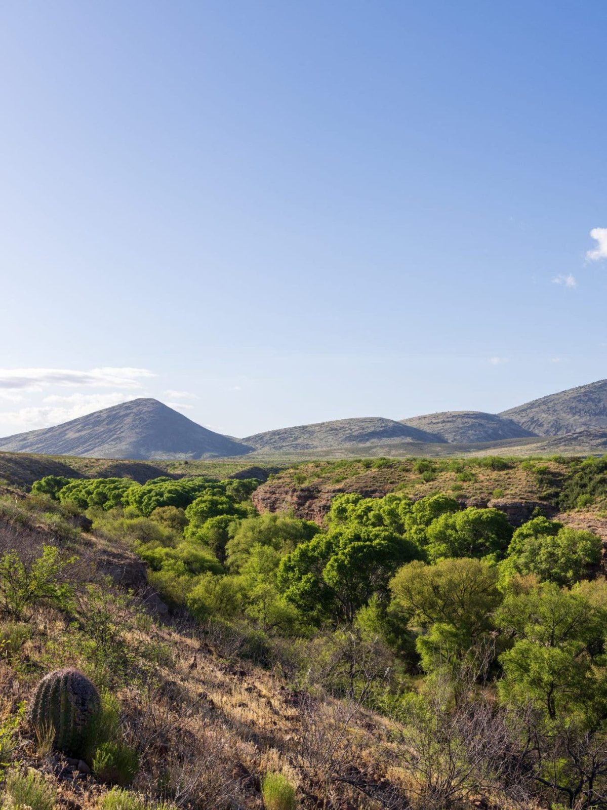 Visit Gila Box Riparian National Conservation Area