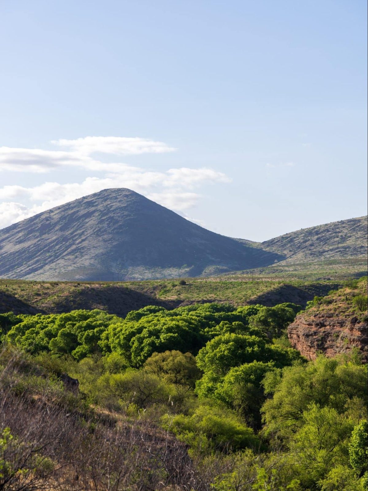 Visit Gila Box Riparian National Conservation Area