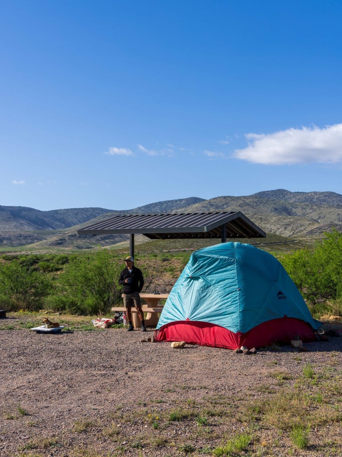 Visit Gila Box Riparian National Conservation Area