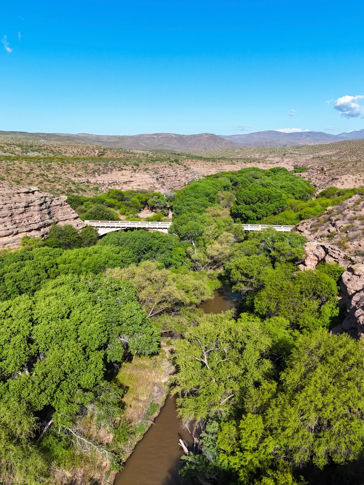 Visit Gila Box Riparian National Conservation Area