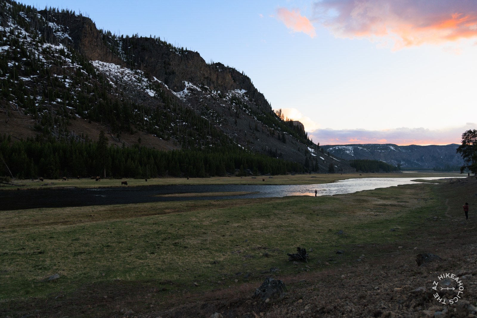 Yellowstone National Park Road Trip