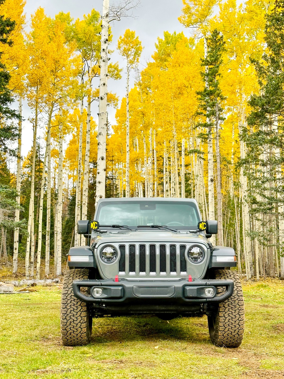 Arizona Fall Colors: When and Where to See Them