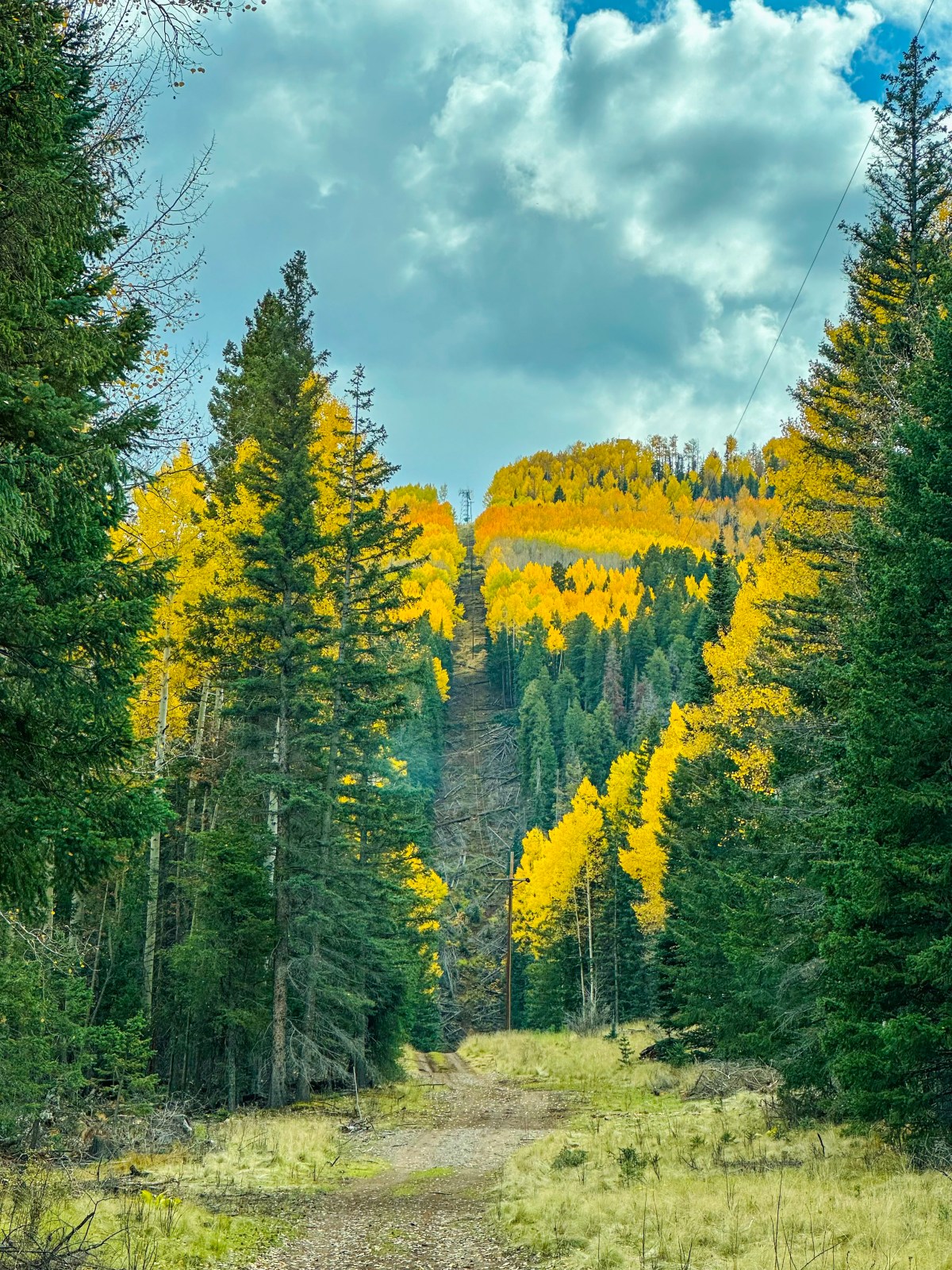 Arizona Fall Colors: When and Where to See Them