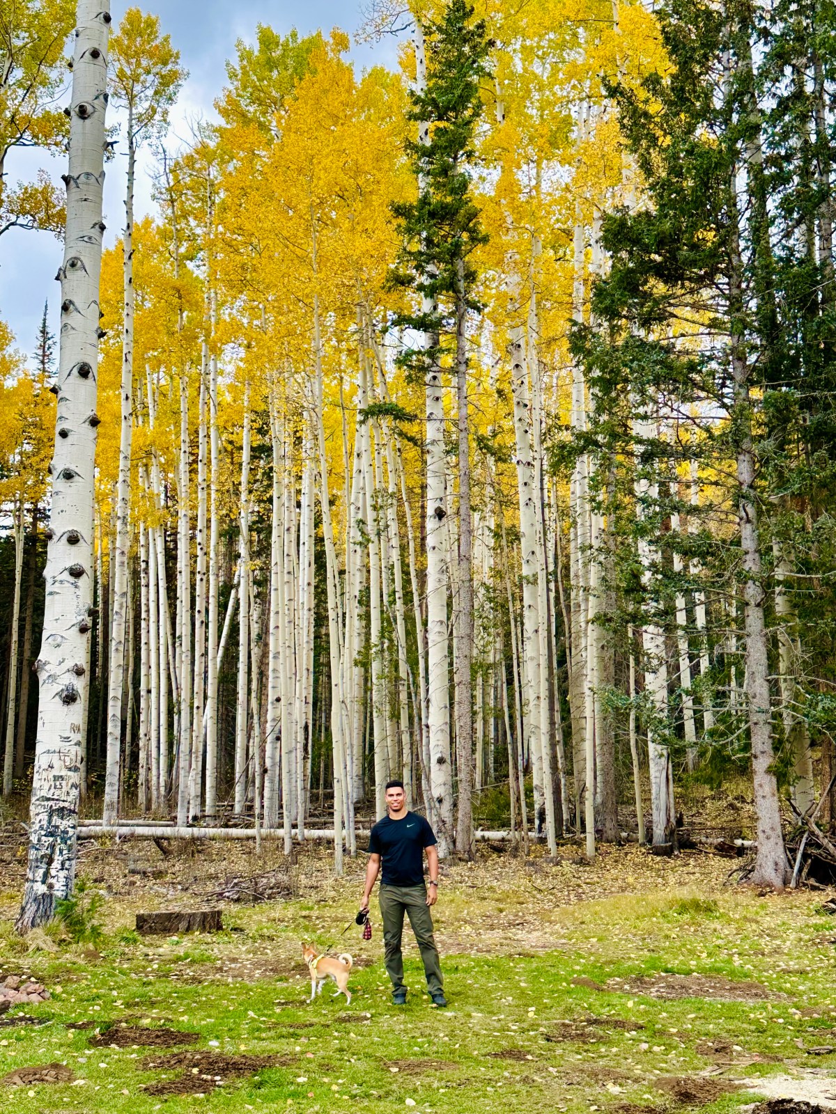 Arizona Fall Colors: When and Where to See Them
