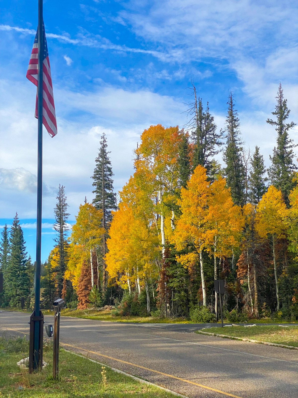 Arizona Fall Colors: When and Where to See Them