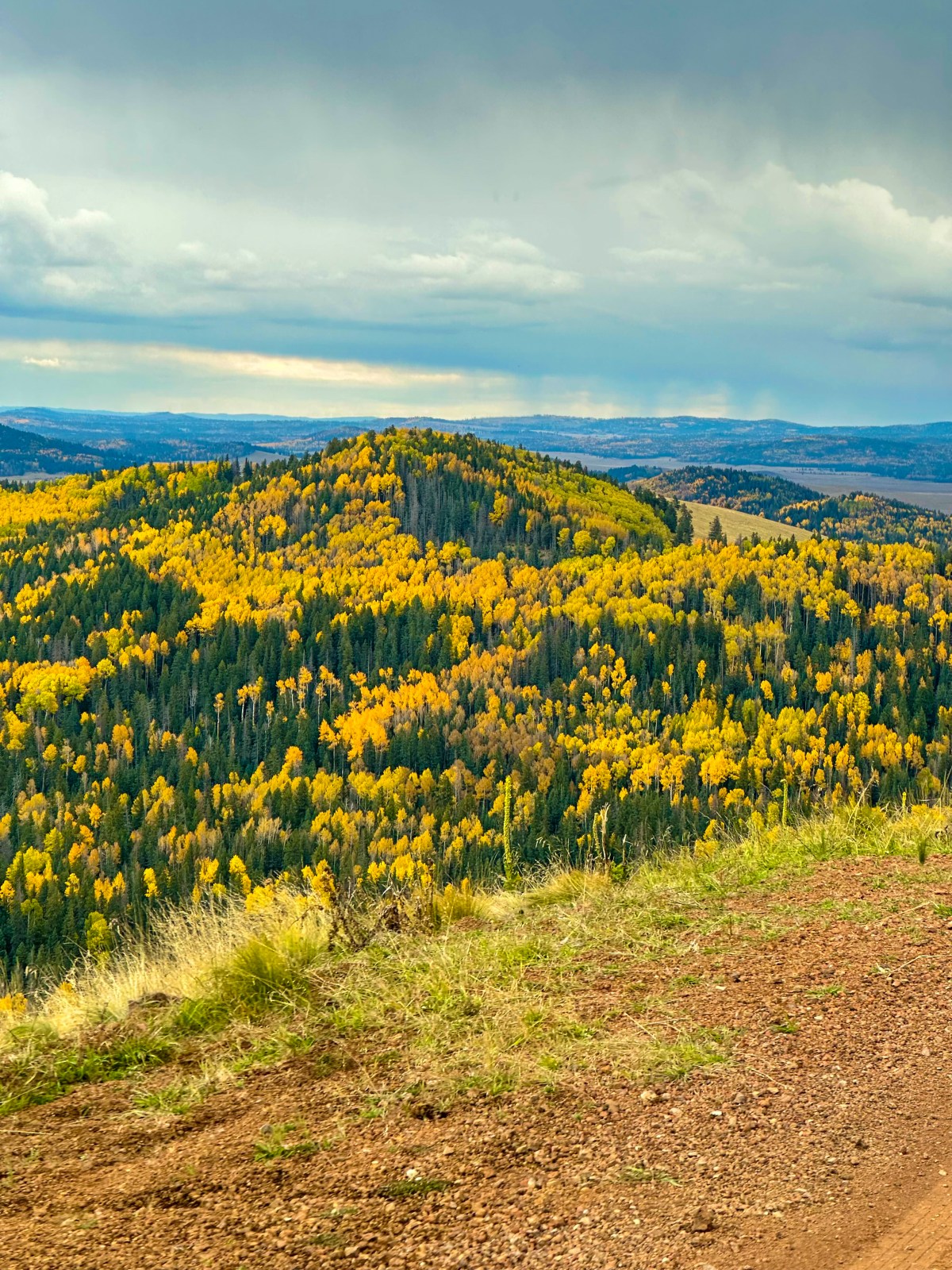 Arizona Fall Colors: When and Where to See Them