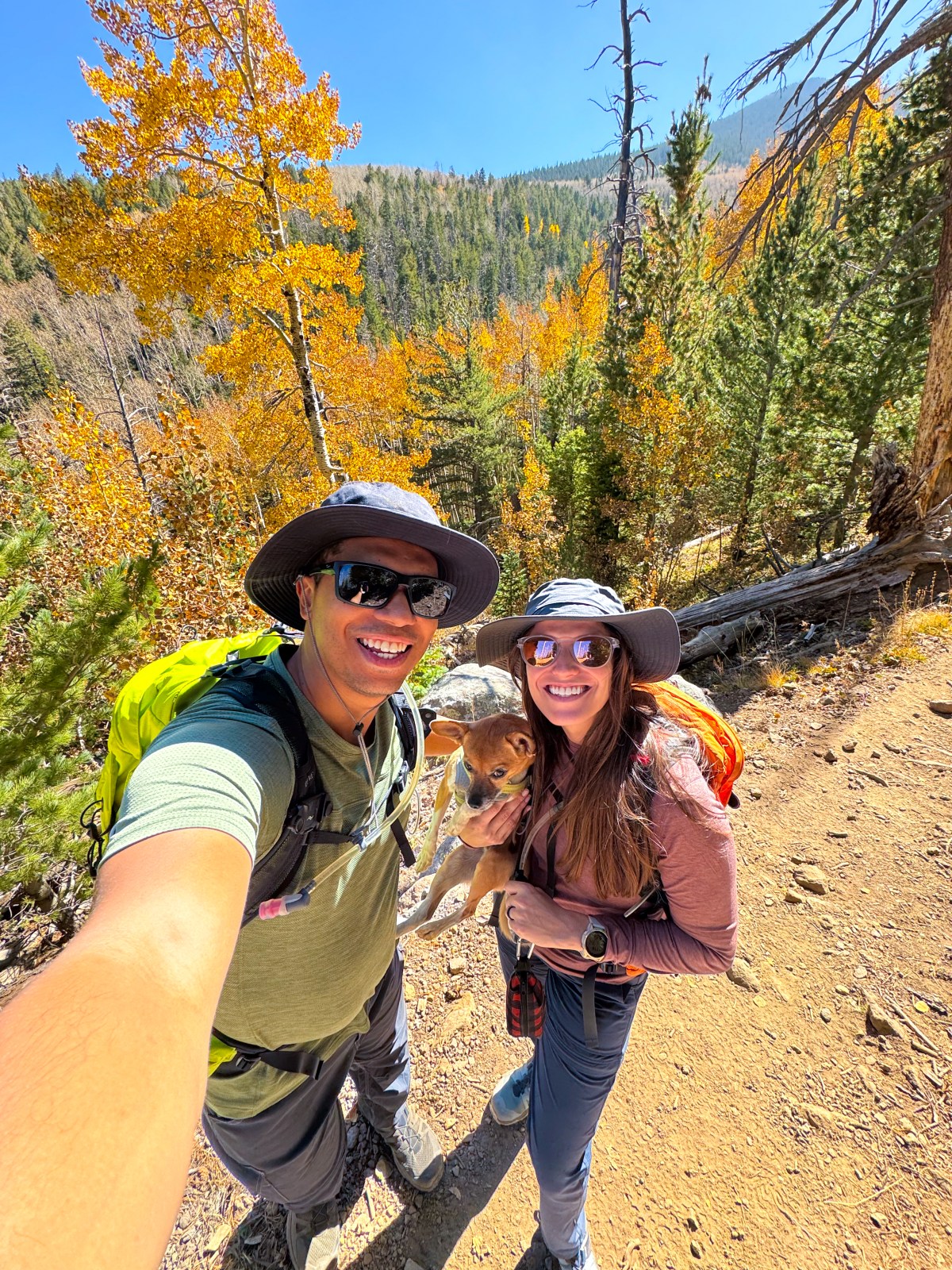 Arizona Fall Colors: When and Where to See Them