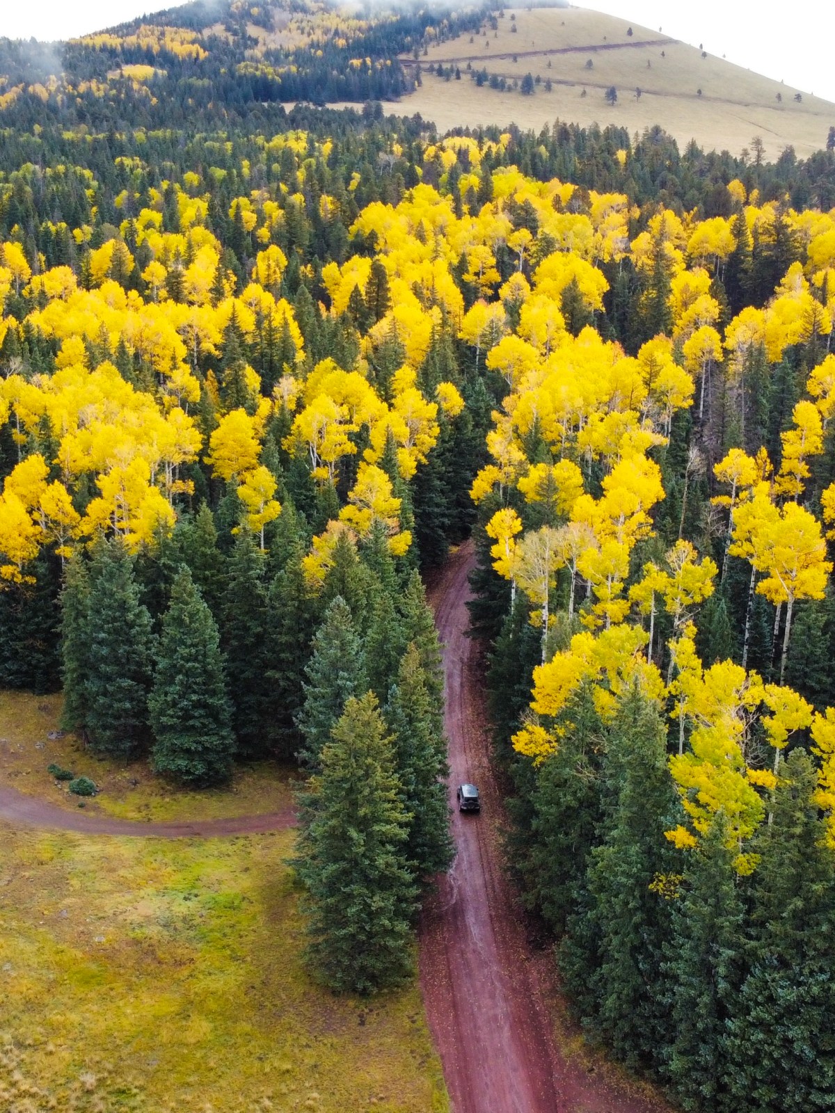 Arizona Fall Colors: When and Where to See Them