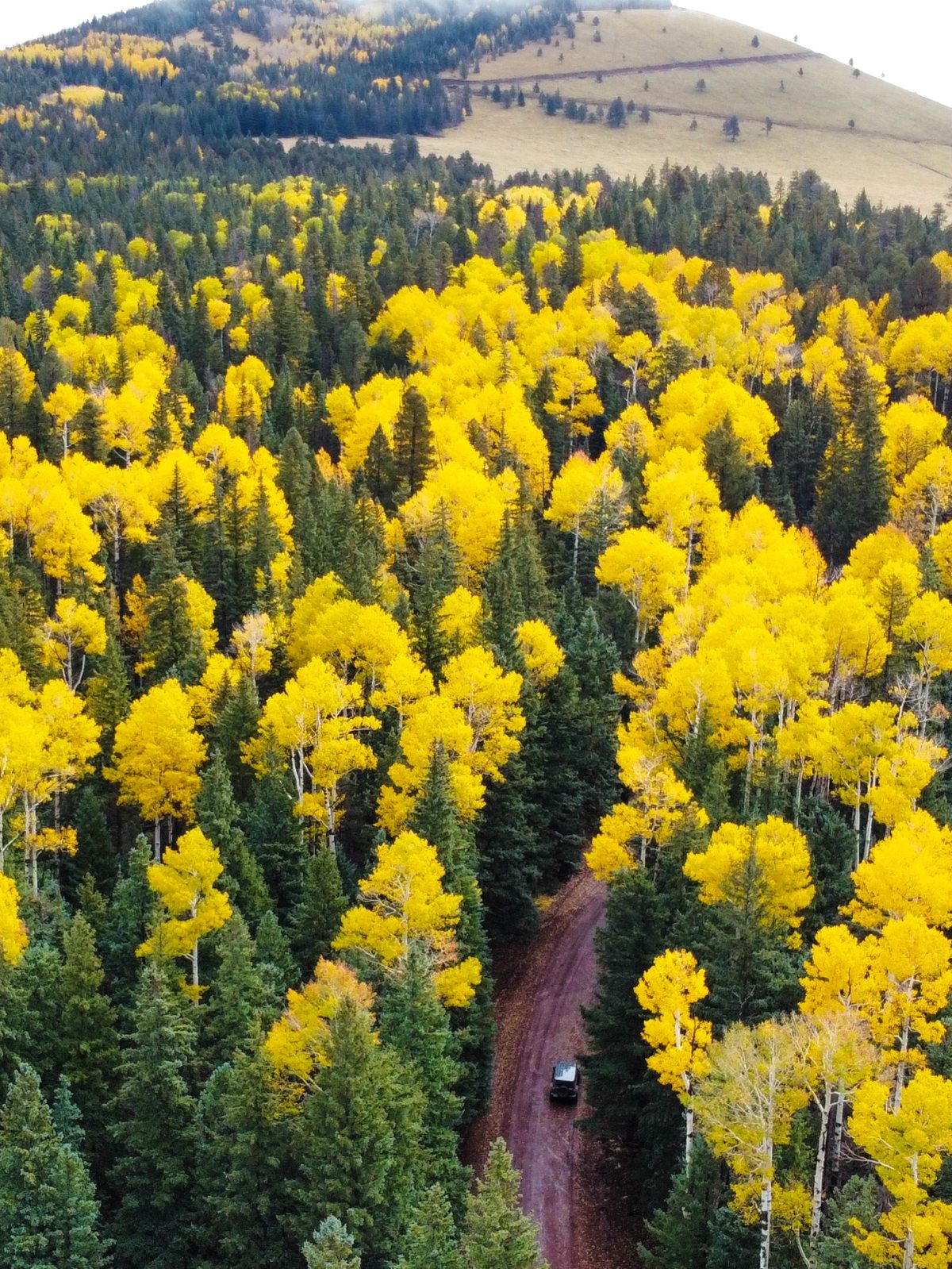 Arizona Fall Colors: When and Where to See Them