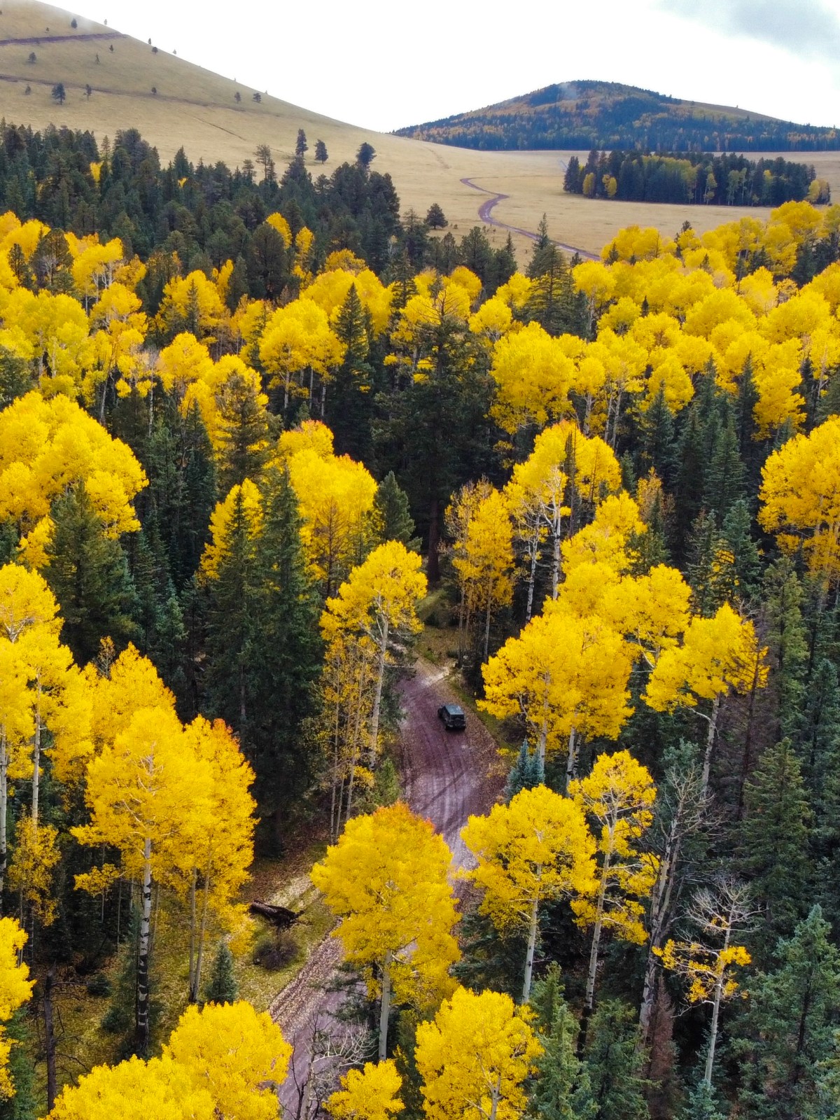 Arizona Fall Colors: When and Where to See Them