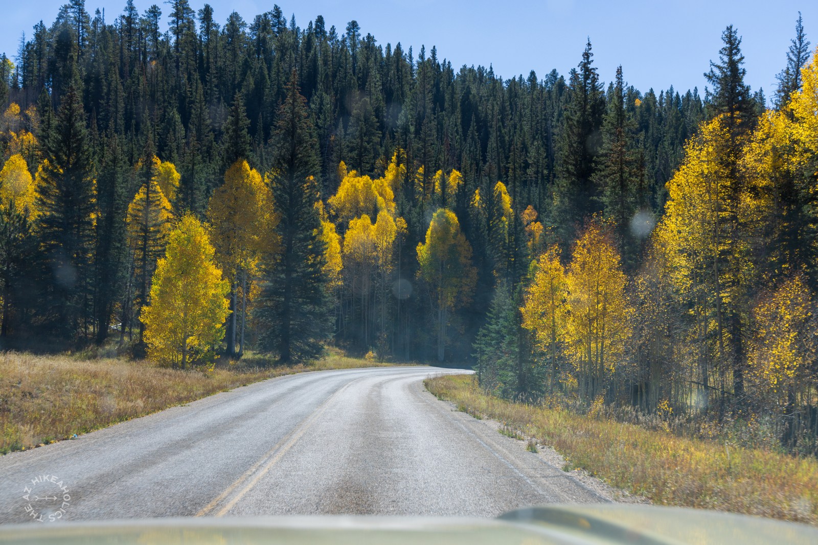 Arizona Fall Colors: When and Where to See Them