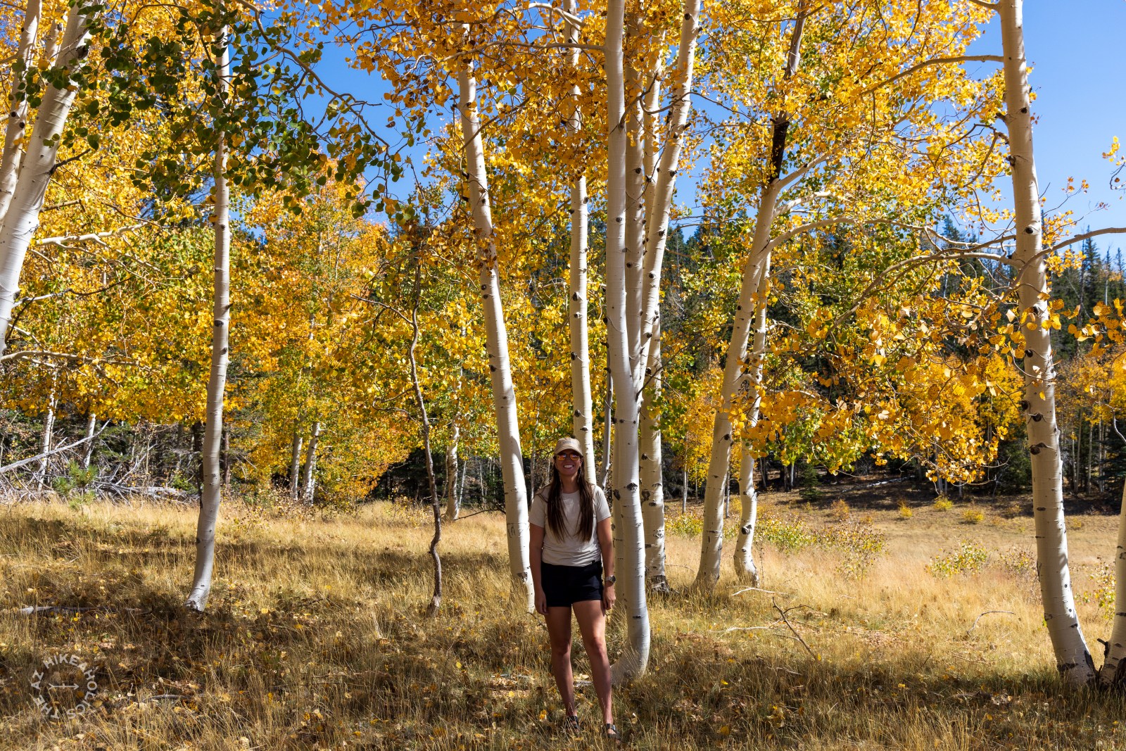 Arizona Fall Colors: When and Where to See Them