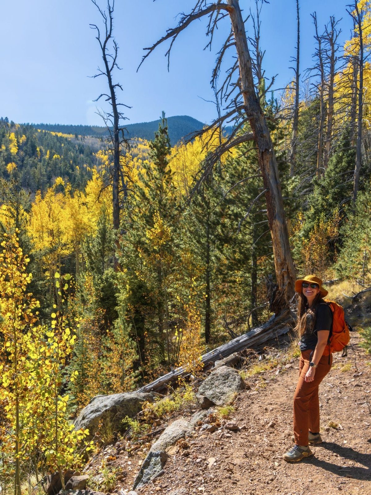 Arizona Fall Colors: When and Where to See Them
