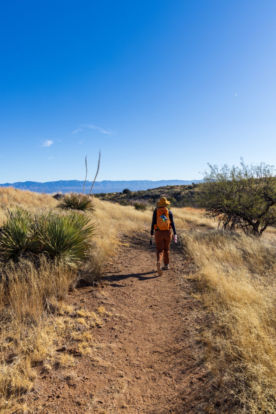Oracle State Park: Hiking, Stargazing, and Travel Tips