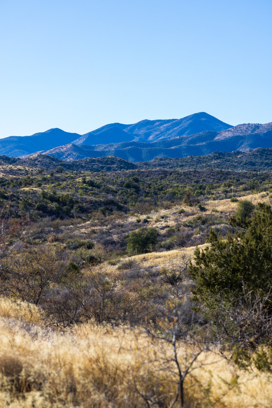 Oracle State Park: Hiking, Stargazing, and Travel Tips