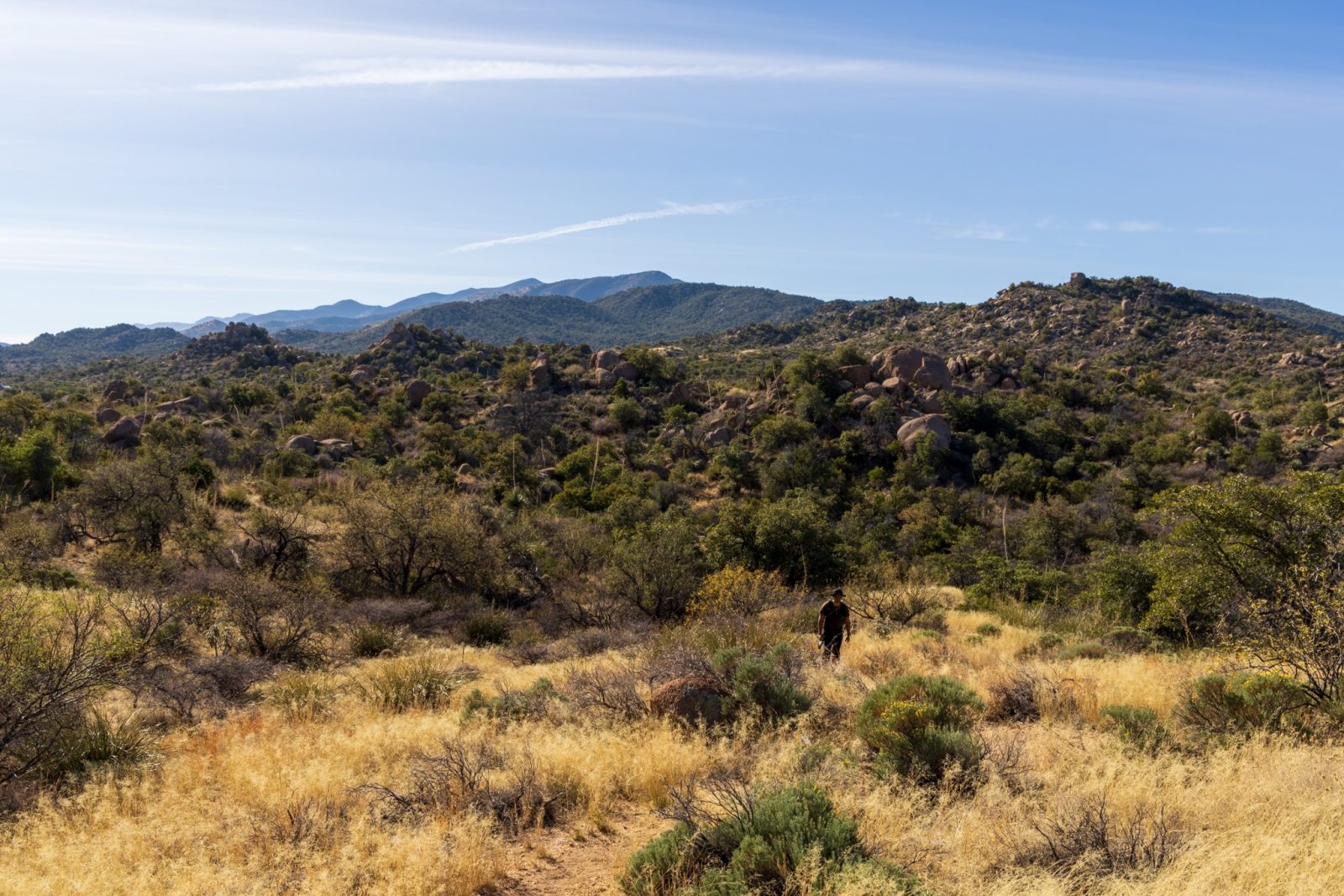 Oracle State Park: Hiking, Stargazing, and Travel Tips