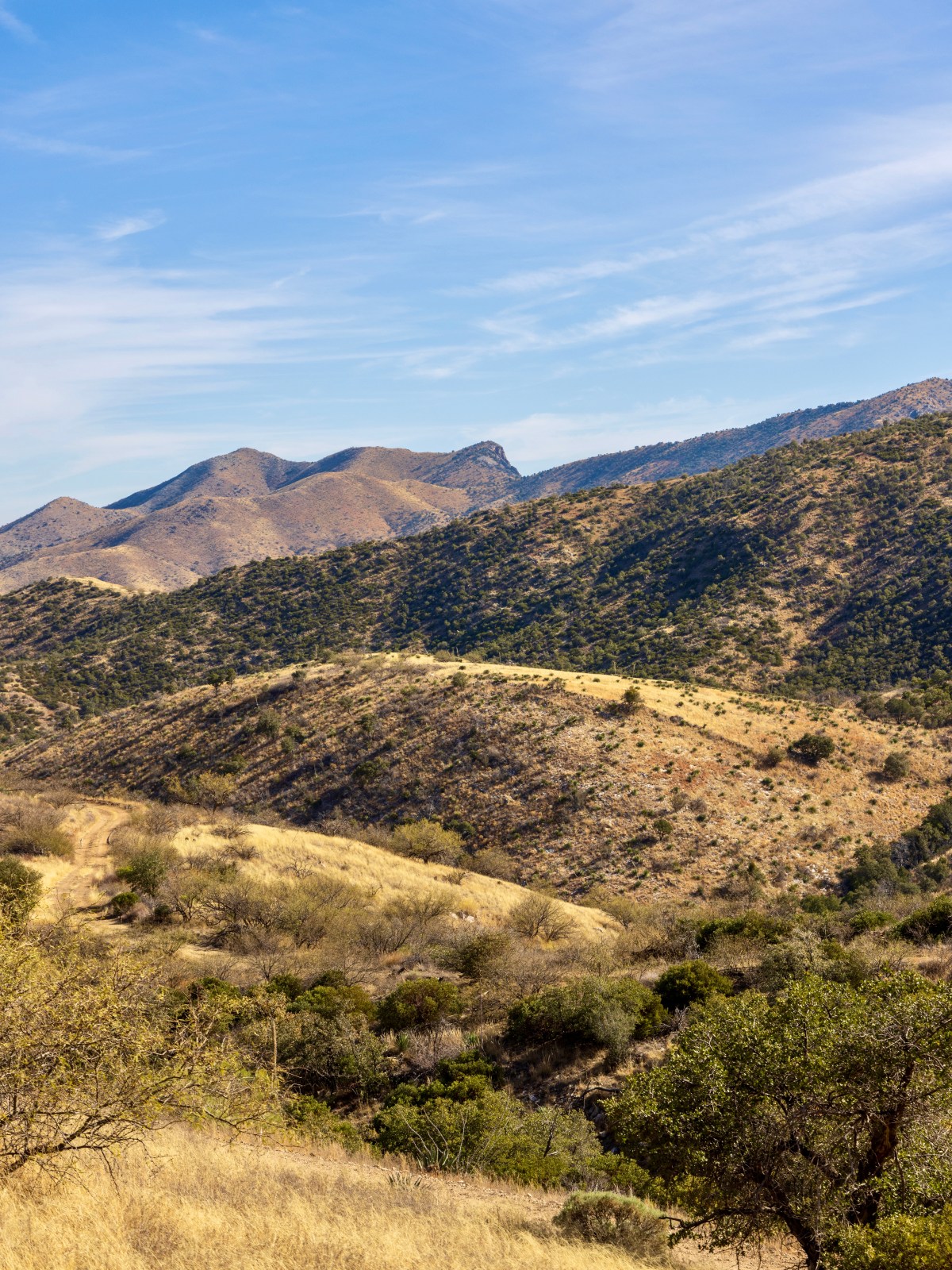 Oracle State Park: Hiking, Stargazing, and Travel Tips
