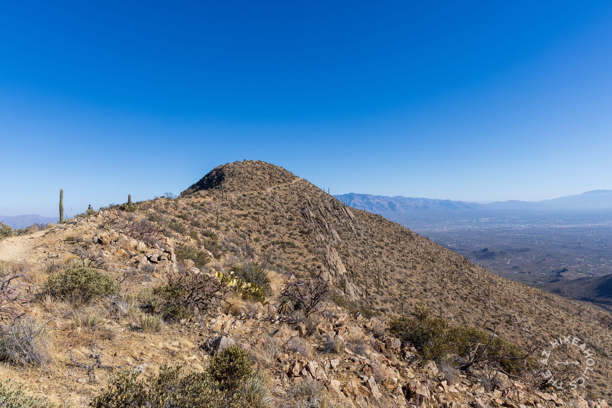 Wasson Peak Hike: Best Trail in Saguaro National Park West