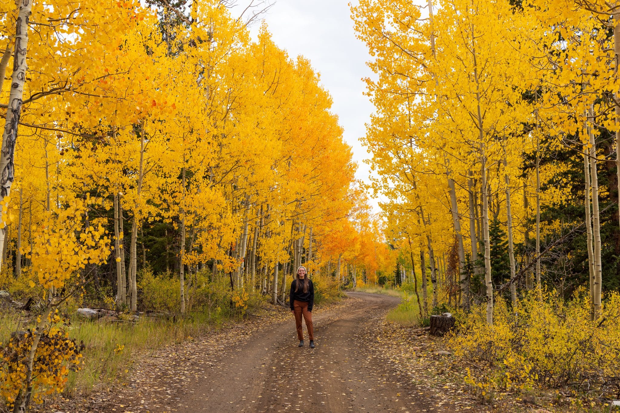 Southern Utah Fall Colors: Best Drives, Hikes, and Photo Spots
